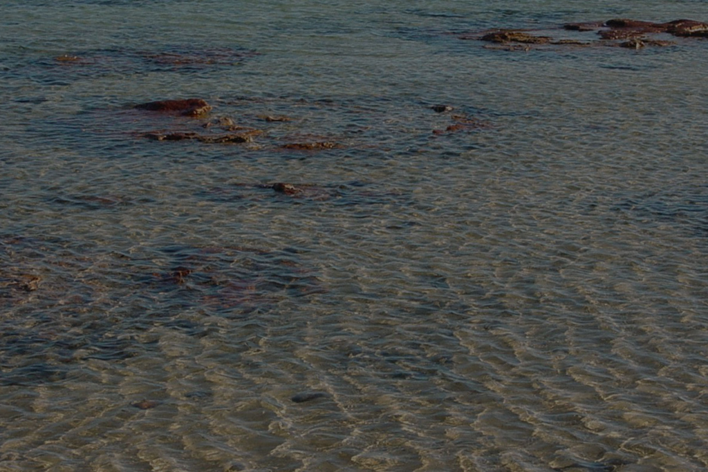 Shallow Water Energy Security Coalition - Qorvis